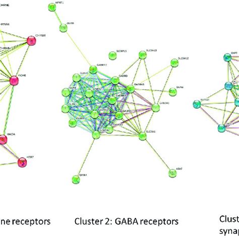 gene clusters as determined by string analysis indicating three
