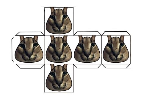 Floppa Cube Template