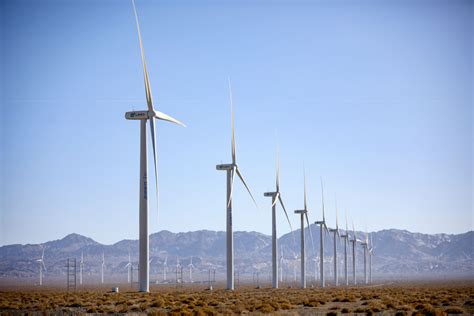 Why Gcc Wealth Funds Are Becoming Engines Of Regional Growth