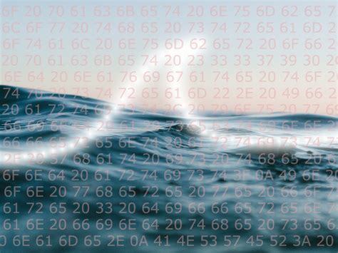 Wireshark The Basics Defend Detect
