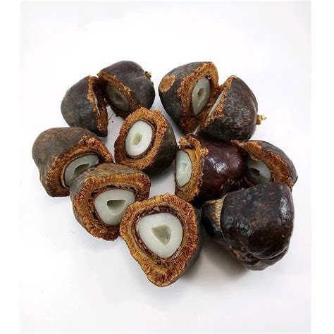 Gambar Buah Warna Hitam 53 Koleksi Gambar