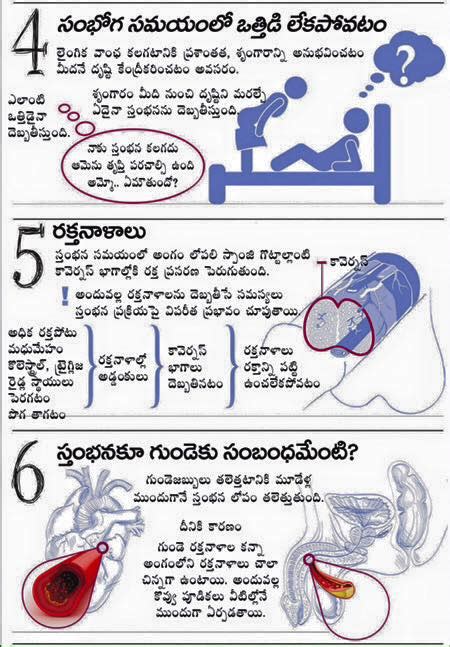 TELUGU WEB WORLD SEX EDUCATION