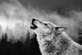 WolfSSH Lightweight SSH Library Products WolfSSL