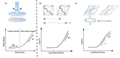 Nonlinear Elasticity In Biopolymer Networks A The Nonlinear Elastic