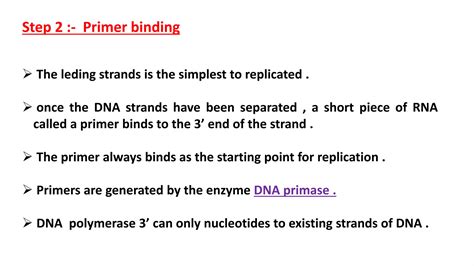 Replication Of DNA PPTX
