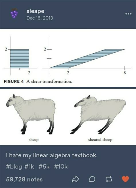 Algebraic Topology Teaches Basic Procedures On Breast Augmentation Rnocontextbooks