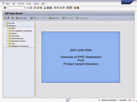 青蛙sap分享 Froggys Sap Sharing Ippe Modeling Workbench