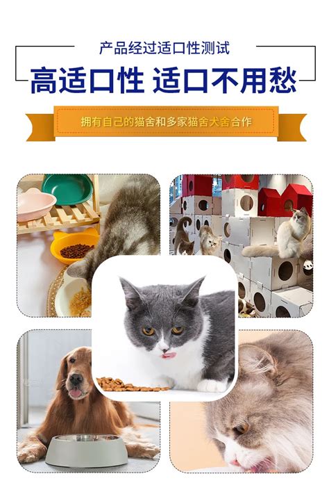 Oem Special Soft Chewable Lecithin Nutritional Supplement Granules