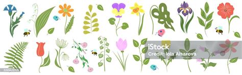 튤립 데이지 붓꽃 양치류 등을 특징으로 하는 다양한 다채로운 봄 꽃과 잎의 손으로 그린 컬렉션입니다 이 생생한 꽃