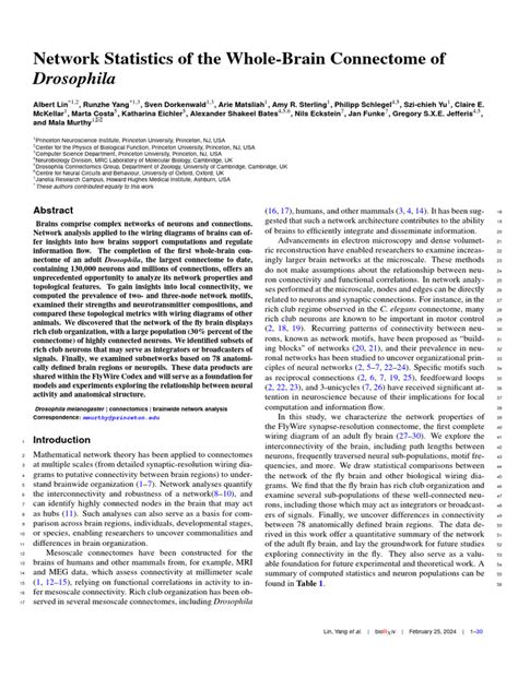 Connectome Stats Pdf Synapse Inhibitory Postsynaptic Potential