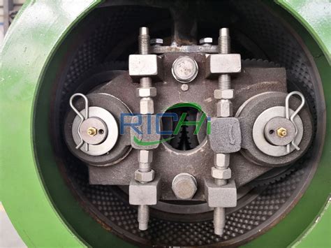 Ce Certified 7 8th Compost Granulating Machine Richi Machinery