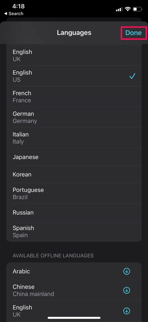 How To Translate Text On IPhone IPad