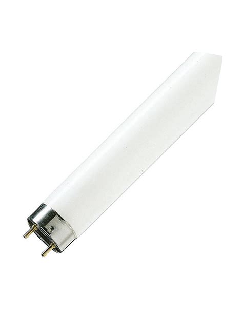 Fluorescent Bulb Coloured Ft