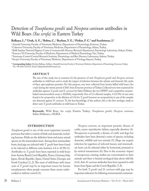 Pdf Detection Of Toxoplasma Gondii And Neospora Caninum Antibodies In Wild Boars Sus Scrofa
