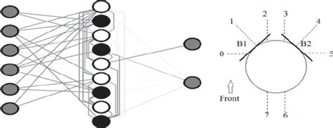 a a typical snn architecture in the hidden layer white neurons