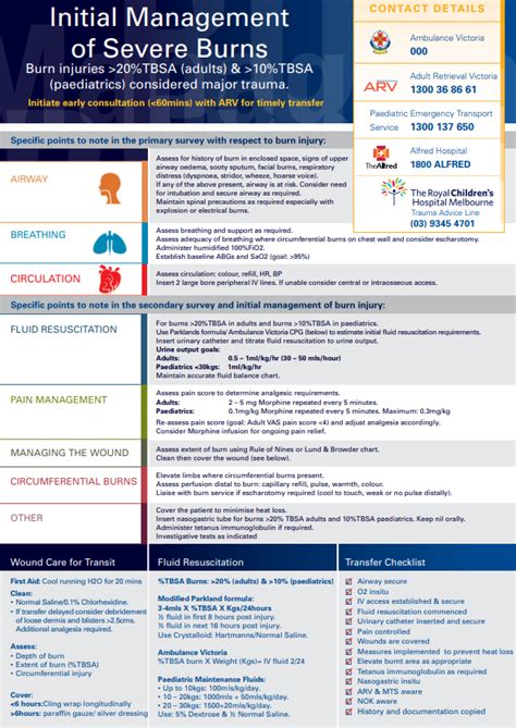 Burns Safer Care Victoria