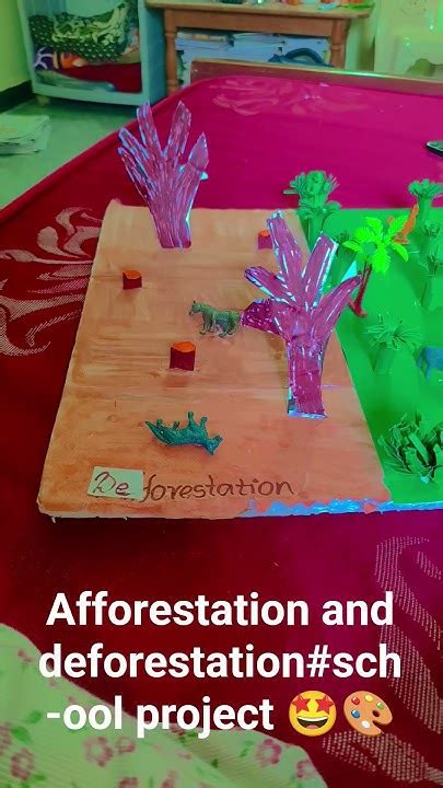 Afforestation Deforestation 🤩 Youtube