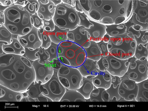 A Representative Cell Structure Of Polyurethane Foam Download