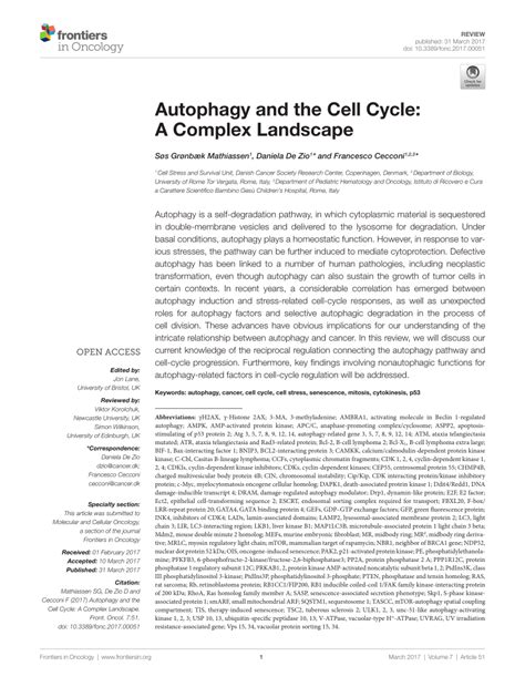 Pdf Autophagy And The Cell Cycle A Complex Landscape