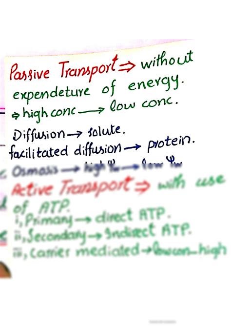 SOLUTION Bio Unit Cell Structure And Functions Studypool