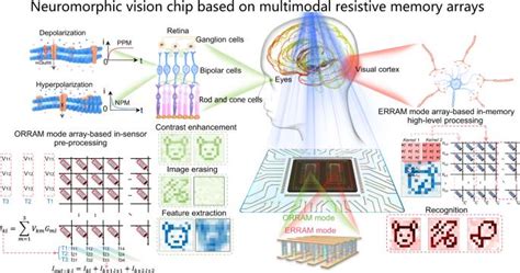 Gabriel Rubio On Linkedin Full Hardware Implementation Of Neuromorphic Visual System Based On
