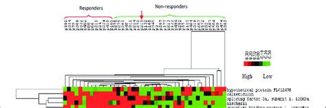 The Dendrogram Of Two Way Single Linkage Hierarchical Clustering Download Scientific Diagram