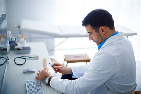 인간의 척추 해부학을 분석하는 정형 외과 의사 모형 인간의 척추를 들고 의사에 대한 스톡 사진 및 기타 이미지 의사 보기 정적 활동 척추 신체 부분 Istock