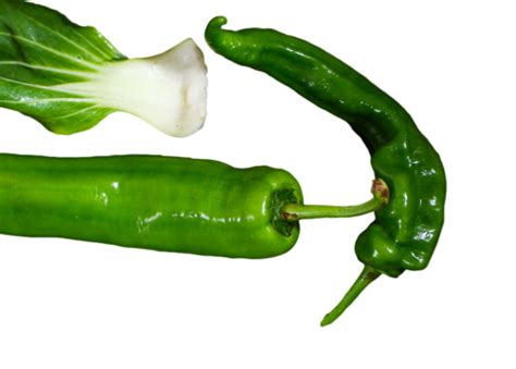 고추 녹색 칠리 벡터 고추 야채 Png 일러스트 및 Psd 이미지 무료 다운로드 Pngtree