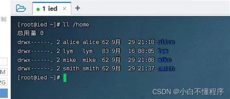 Linux用户操作 Csdn博客