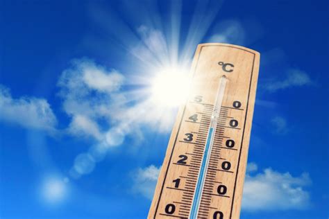 2016 bat tous les records de température mondiale Bio à la une