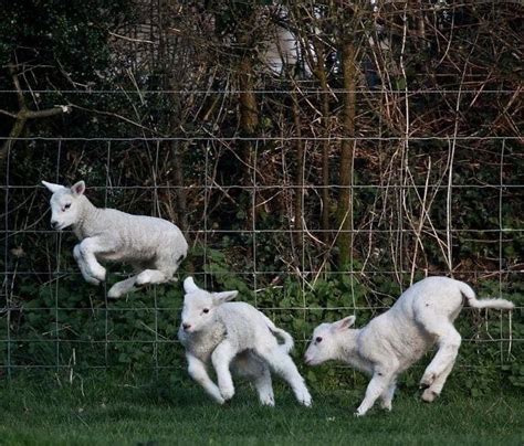 18 Cool Sequence Photography Examples Artofit