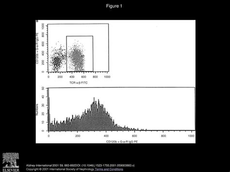 Volume Issue Pages March Ppt Download