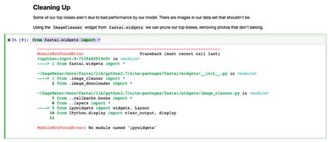 Getting ModuleNotFoundError No Module Named Ipywidgets In Sagemaker Part Fast