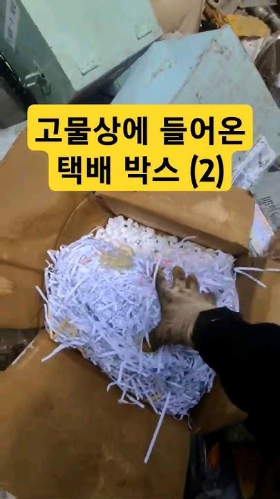 무엇이 들어 있을까요 Youtube