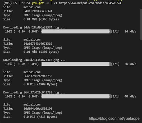 you get：无需代码爬取网站资源：视频、图片、音频等 python you get下载网页图片 csdn博客