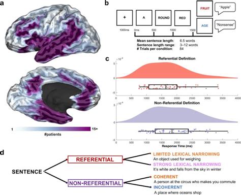 Limitations Of Spatiotemporal Resolution Have Rendered It Difficult To