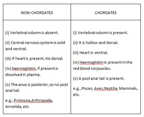 Give The Points Of Differences Between Non Chordates And Chordates CBSE Class Science