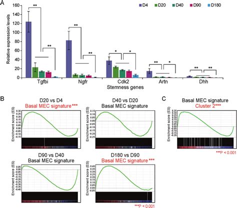 Stem Cell Related Gene Expression Signature A Expression Pattern Of Download Scientific