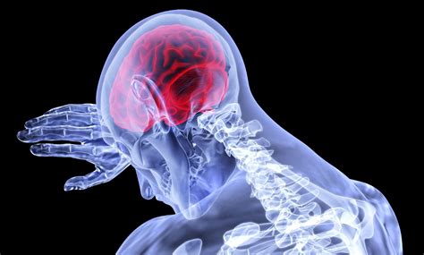 40 Facts About Central Nervous System Inflammation