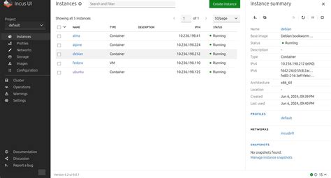 incus 6 2 container and virtual machine manager released