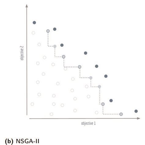Visualisation Of The Splitting Front Procedure Of Non Dominated Sorting