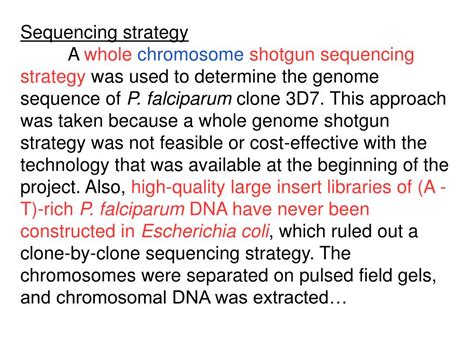 PPT DNA Sequencing Methods PowerPoint Presentation Free Download ID