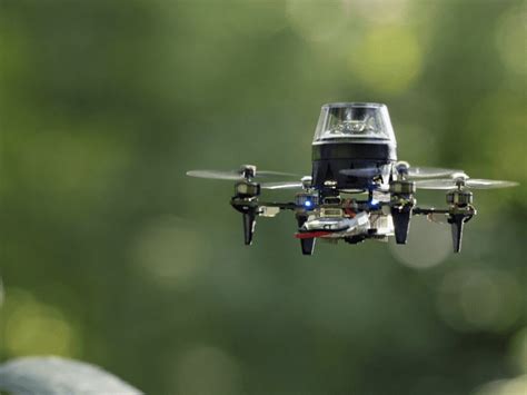 Ant Insights Lead To Robot Navigation Breakthrough