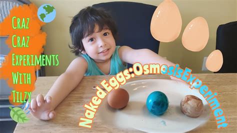 Experiment Naked Eggs Experiment Kid Experiment Scienceexperiment Stemeducation YouTube
