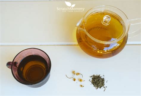 Calming Catnip Herbal Tea Recipe Scratch Mommy