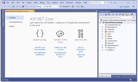 Blazor C Webassembly Client Web Apps Net 50 Spa Framework