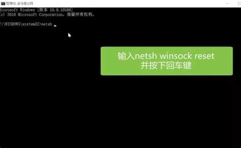 Linux系统内存清理神器：purge命令详解 Linux命令大全手册