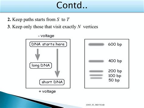 Dna Computing Pptx