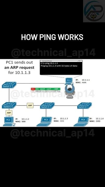 Ping Coding Computerscience Softwareengineer Codinglife Developer Trending Javascript
