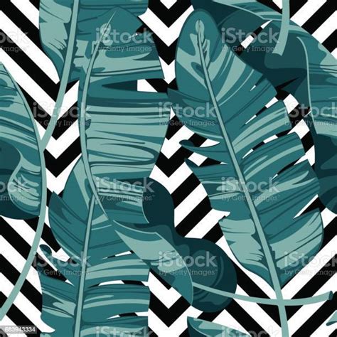 열 대 인쇄 여름 이국적인 식물입니다 바나나 잎 패턴 원활한 꽃 벡터입니다 기하학적 배경 자연 배경 화면입니다 추상적인에 대한 스톡 벡터 아트 및 기타 이미지 Istock